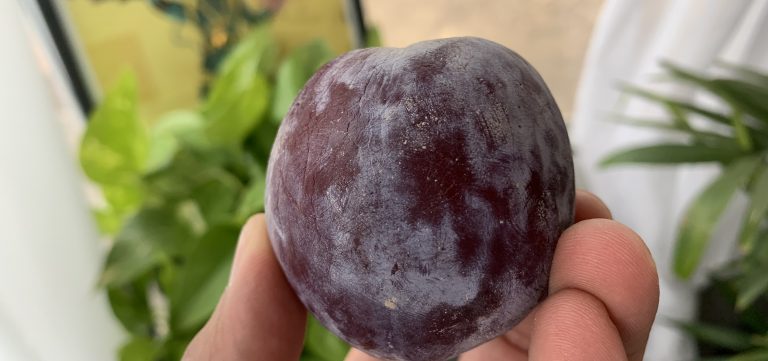 How to Make Jungle Hooch, Prison Wine, or Pruno - Hack Outdoors