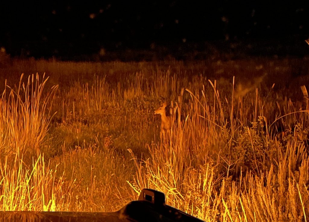Deer Hunting California: My Eastern Sierras Public Land Buck - Hack ...