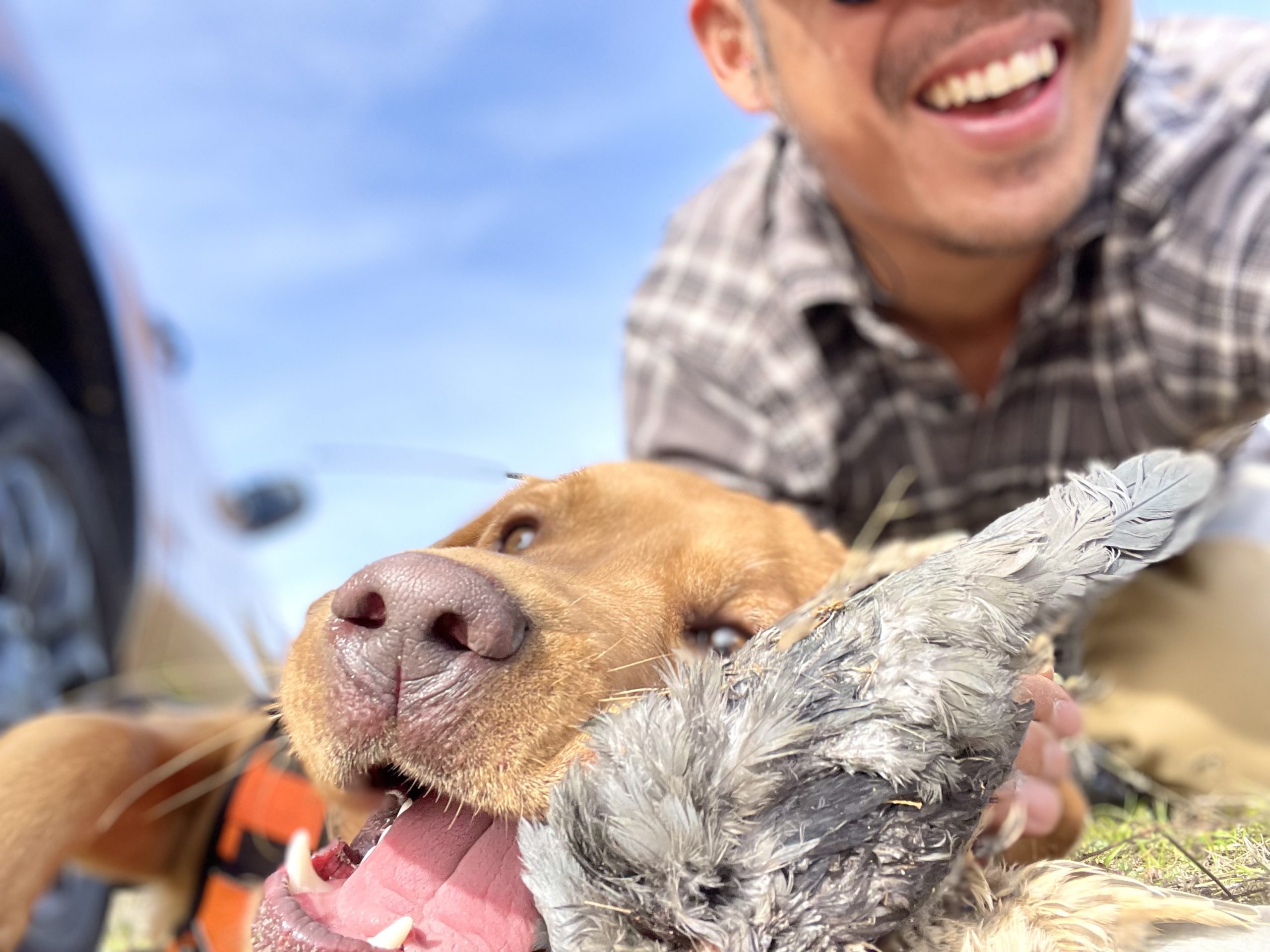 The Best Upland Hunting Gear For Any Budget - Hack Outdoors